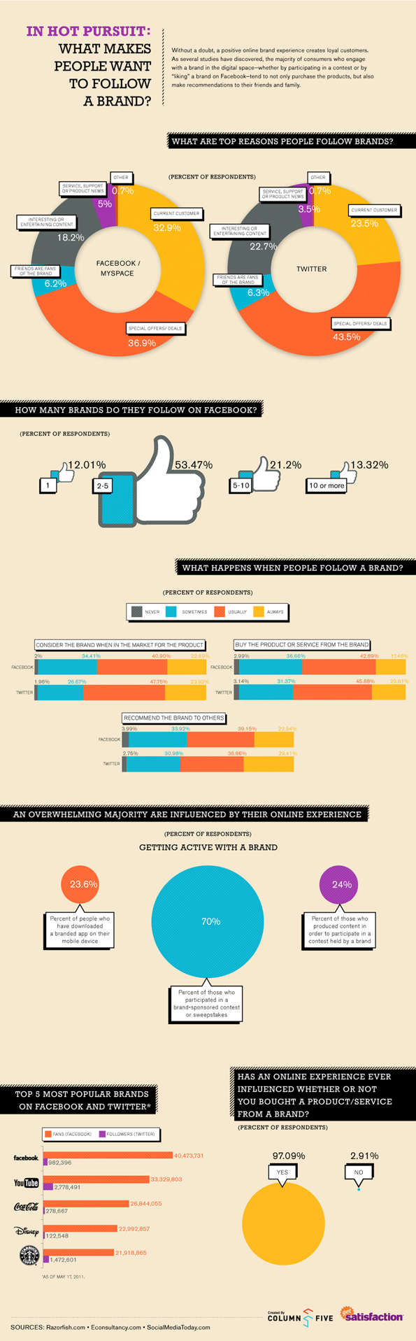 Brand Following on Social Media Infographic: Making Sense Of it All